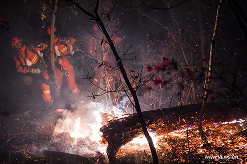 Thousands battle massive forest fire in North China - Global Times