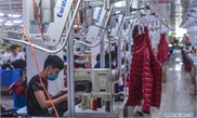 Automated garment manufacturing equipment introduced in Zhejiang, China ...