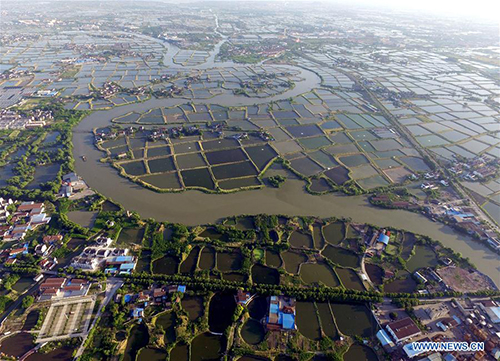 Mulberry fish ponds in E China's Zhejiang - Global Times