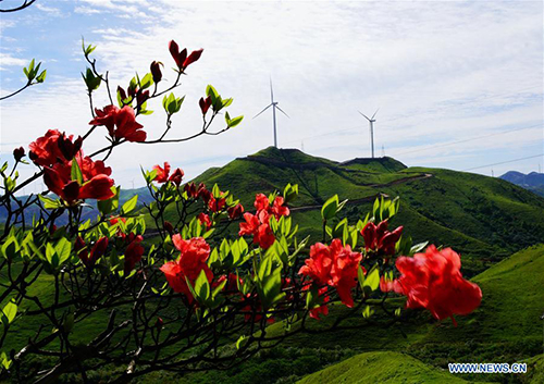 Wind power farms seen on Nanshan Mountain in China's Guangxi - Global Times