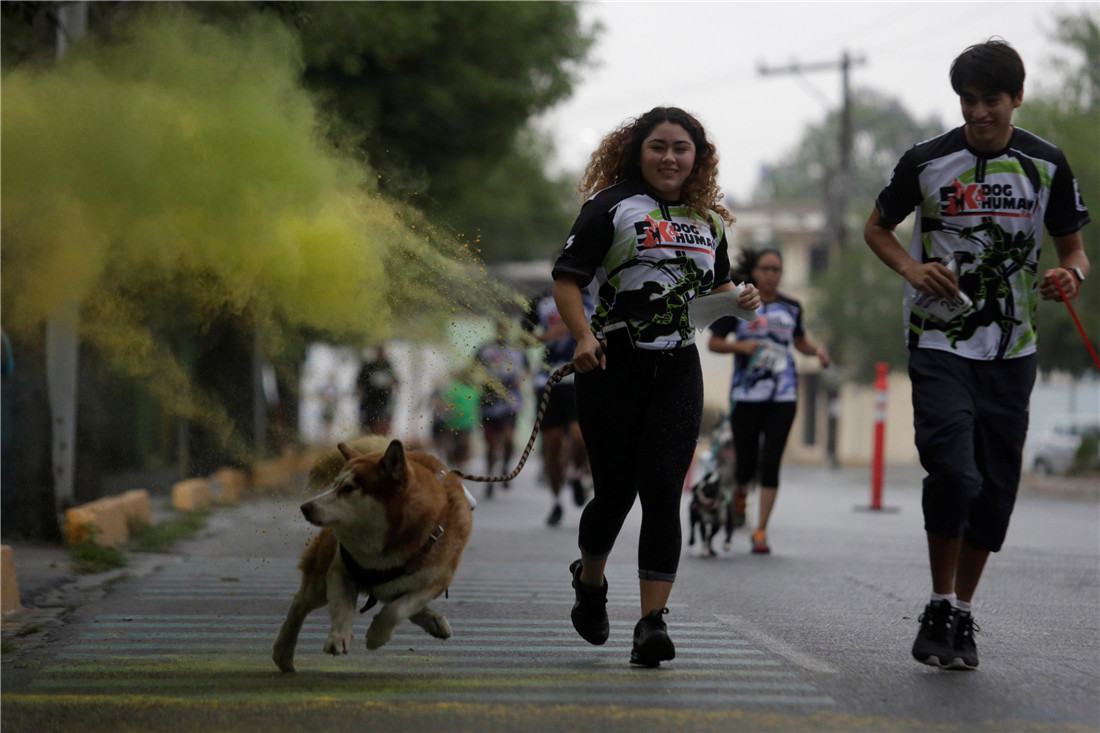 Color run for pet owners and their dogs held in Mexico - Global Times
