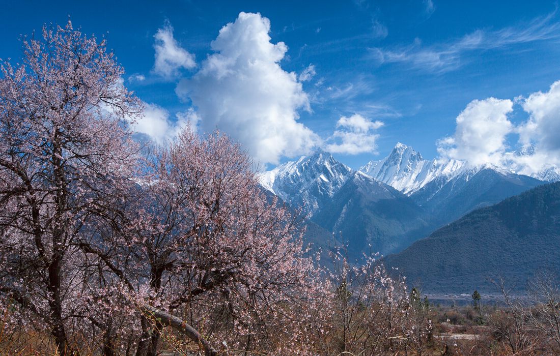 Bomi County: A fairyland in SW China’s Tibet - Global Times
