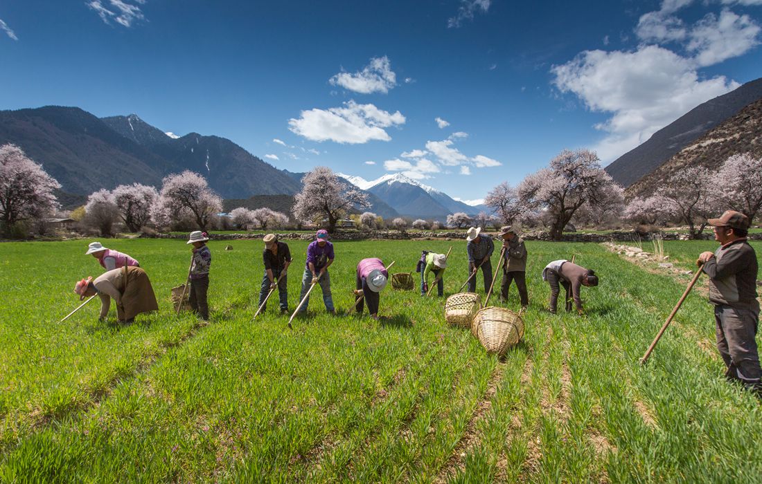 Bomi County: A fairyland in SW China’s Tibet - Global Times