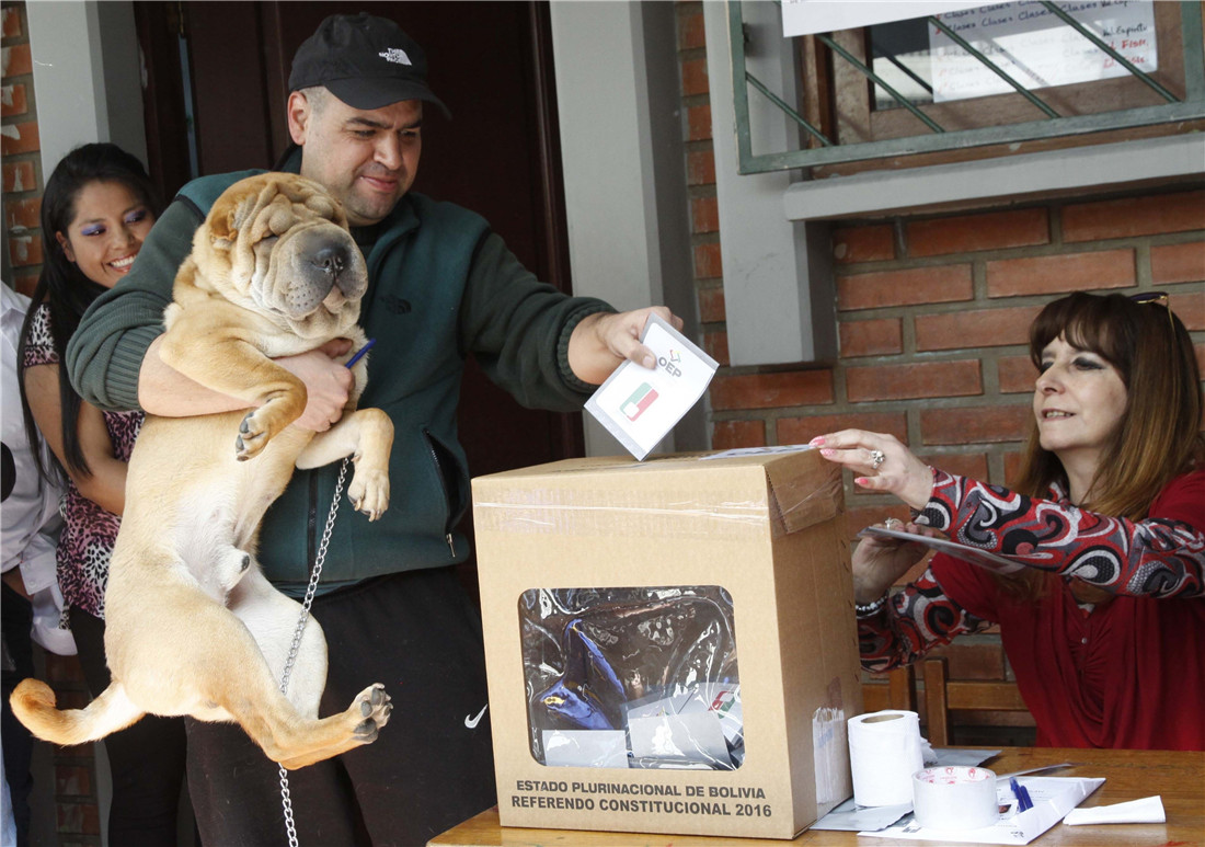 Animals steal the show at polling stations - Global Times