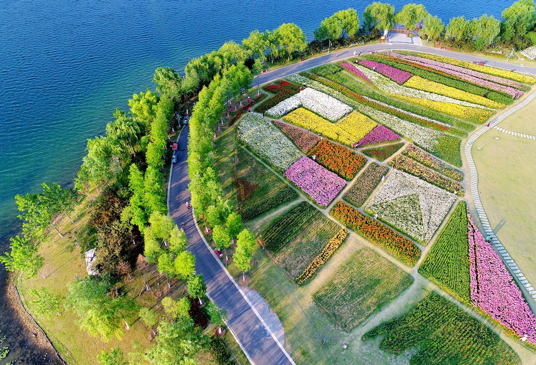 Lily Park gives tourists a rainbow of photo possibilities in China’s ...