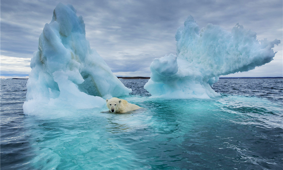Chill out with these ice cool photos - Global Times