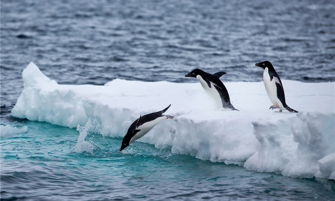 Chill out with these ice cool photos - Global Times