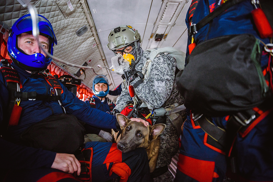 Colombian air force dog completes its parachute training - Global Times