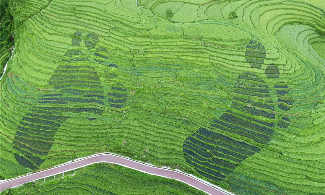 Red Army's footprints - Global Times