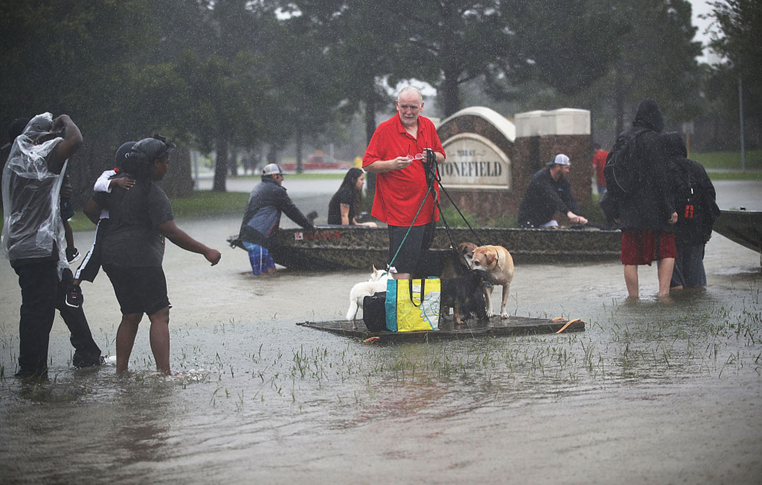 Man’s best friends rescued from flood in Texas - Global Times