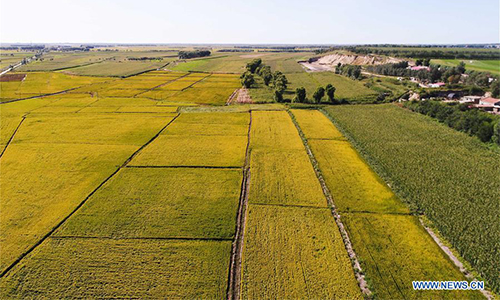 RICEPLUS MAGAZINE: 09/01/17