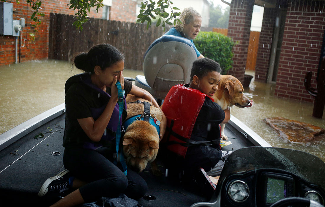 Man’s best friends rescued from flood in Texas - Global Times