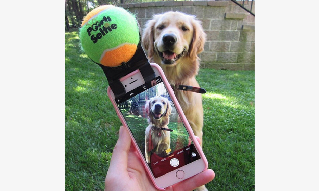 Heartwarming and creative inventions for pets - Global Times