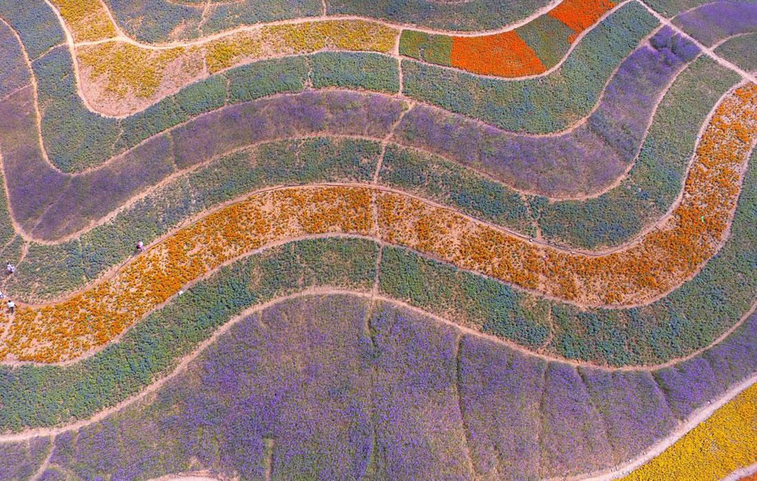 Fantastic views of late autumn colors from across China - Global Times