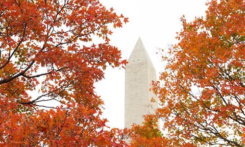 Autumn landscape in Washington DC - Global Times