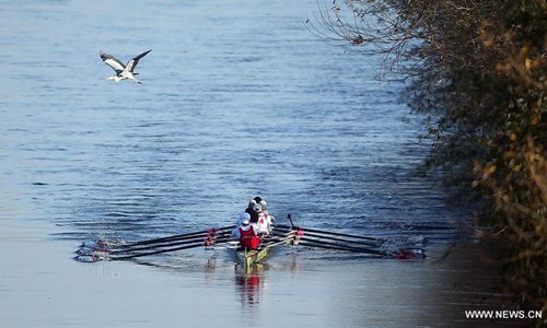 2017 Eights on Sava rowing race held in Croatia - Global Times