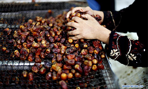 Siwa Oasis in Egypt produces about 84,000 tons of dates annually ...