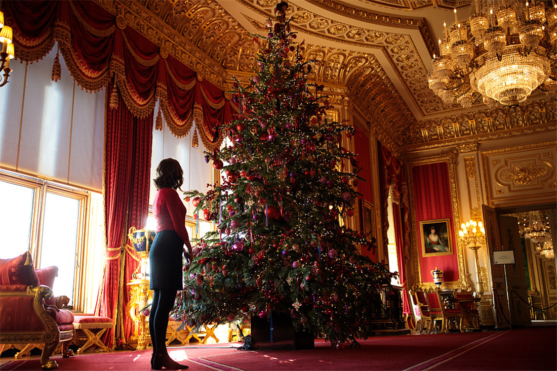 Dazzling Christmas tree erected at Windsor Castle - Global Times