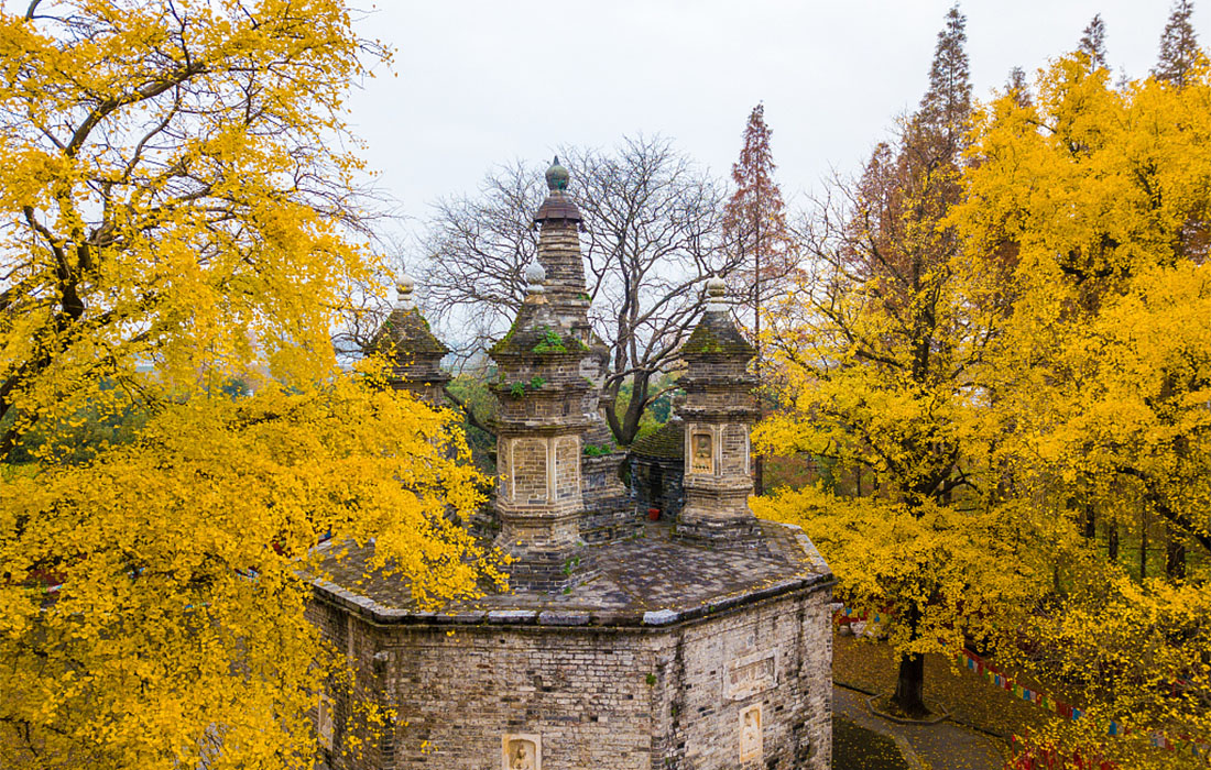 Ancient temple surrounded by golden ginkgo leaves - Global Times