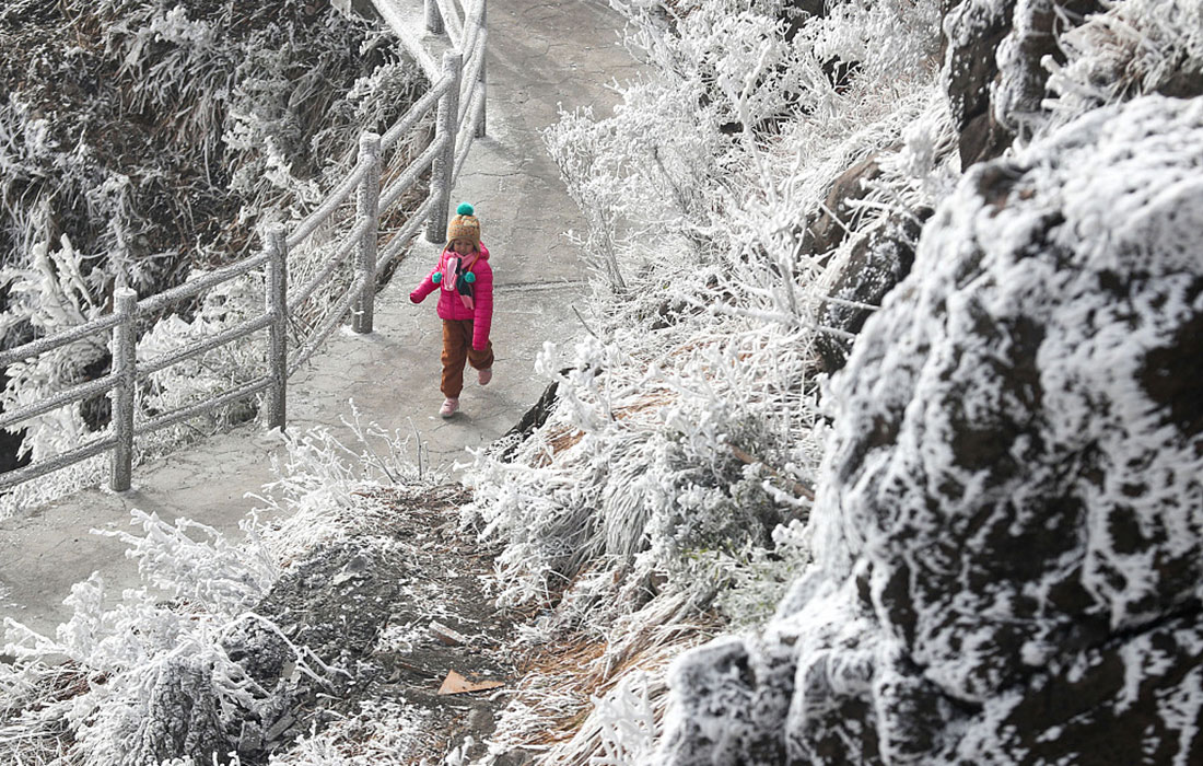Beautiful ice- and frost-covered scenery in S China’s Guangdong ...