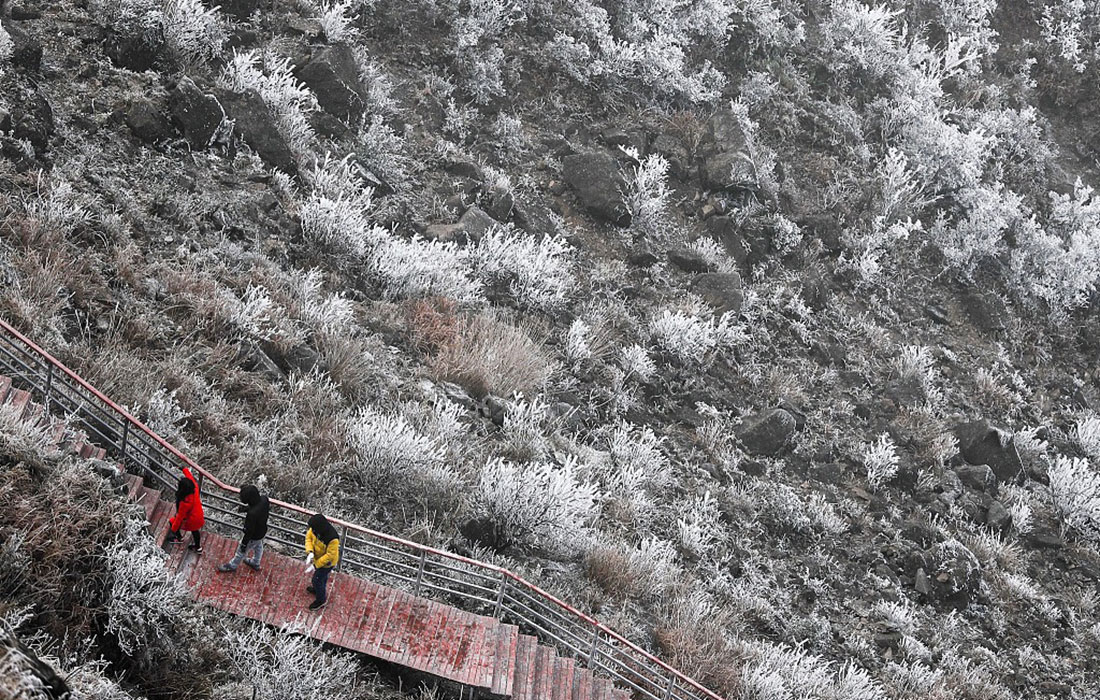 Beautiful ice- and frost-covered scenery in S China’s Guangdong ...