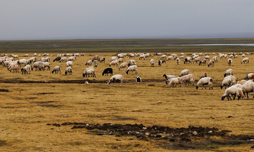 Trips into ‘depopulated zones’ carry high risks for adventurers, damage ...