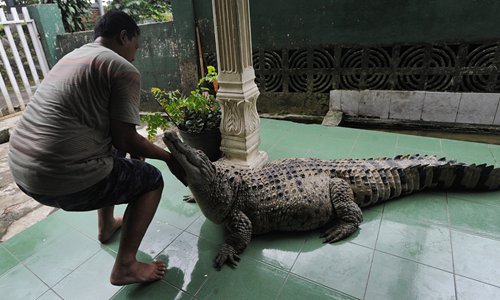 The unusual pet - Global Times