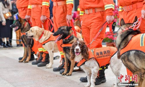 Fire rescue dogs make public debut during skills demonstration in South ...