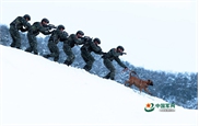 A salute to combat canines in E China’s Zhejiang - Global Times