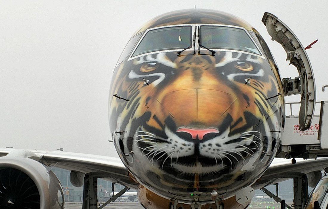 ‘Tiger plane’ lands at an airport in SW China’s Chongqing - Global Times