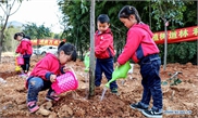 Children's tree planting activity held in E China's Zhejiang - Global Times
