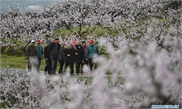 Elderly people enjoy spring view with volunteers in China's Zhejiang ...