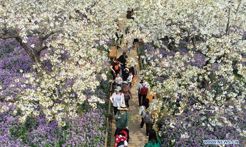 People enjoy spring scenery across China - Global Times
