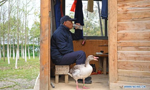 Old man and wild goose - Global Times