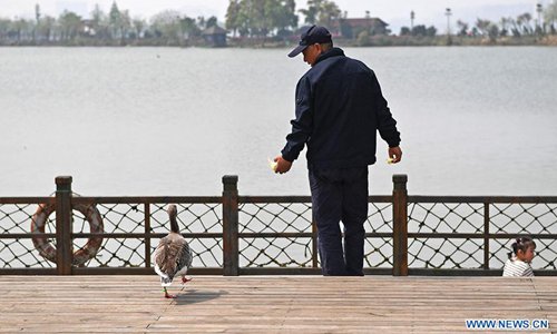 Old man and wild goose - Global Times