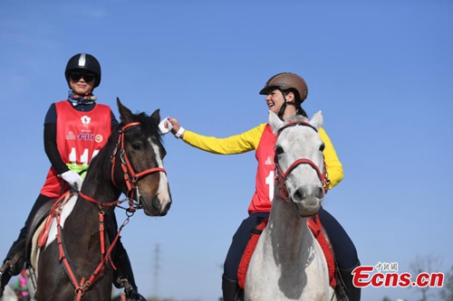 Over 100 compete in equestrian endurance in Anhui - Global Times