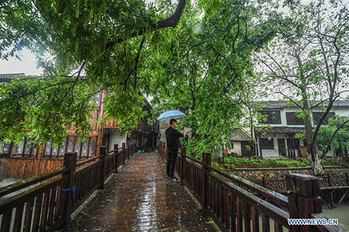 Rural living environment improved in E China's Zhejiang - Global Times