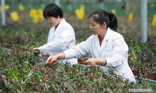 Rural living environment improved in east China's Zhejiang - Global Times