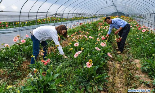 Rural living environment improved in east China's Zhejiang - Global Times