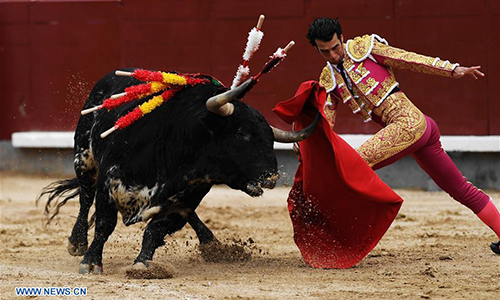 Bullfights return in Peru after pandemic pause - Global Times