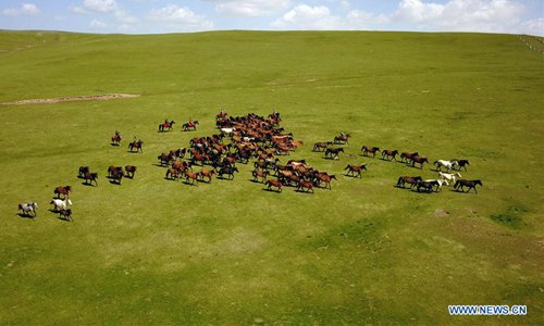 Grassland scenery of in Shandan Horse Ranch in NW China's Gansu ...