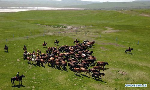 Grassland scenery of in Shandan Horse Ranch in NW China's Gansu ...