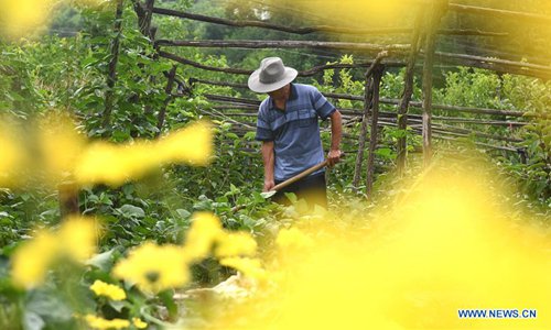 People do farm work on solar term 'Xiaoshu' across China - Global Times
