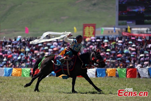 Horse racing festival opens in Qinghai - Global Times