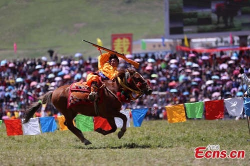 Horse racing festival opens in Qinghai - Global Times