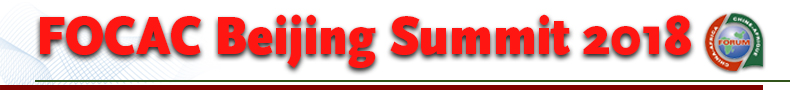 FOCAC Beijing Summit 2018 - Photos - Global Times