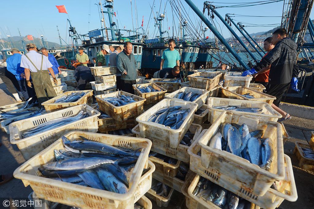 Fishermen harvest tons of fish as the 2018 summer fishing ban is lifted ...