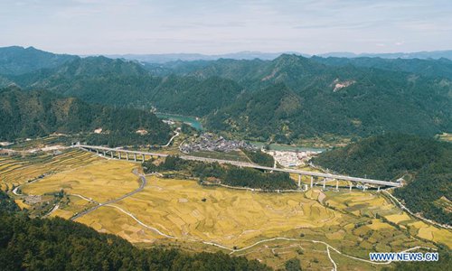 View of paddy rice field across China - Global Times