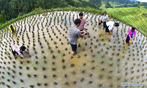 Promotion of river snail rice noodles benefits locals in China's ...