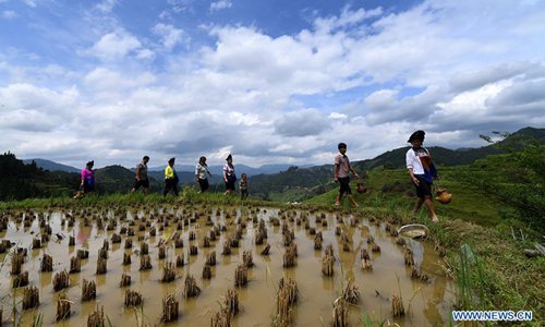 Promotion of river snail rice noodles benefits locals in China's ...